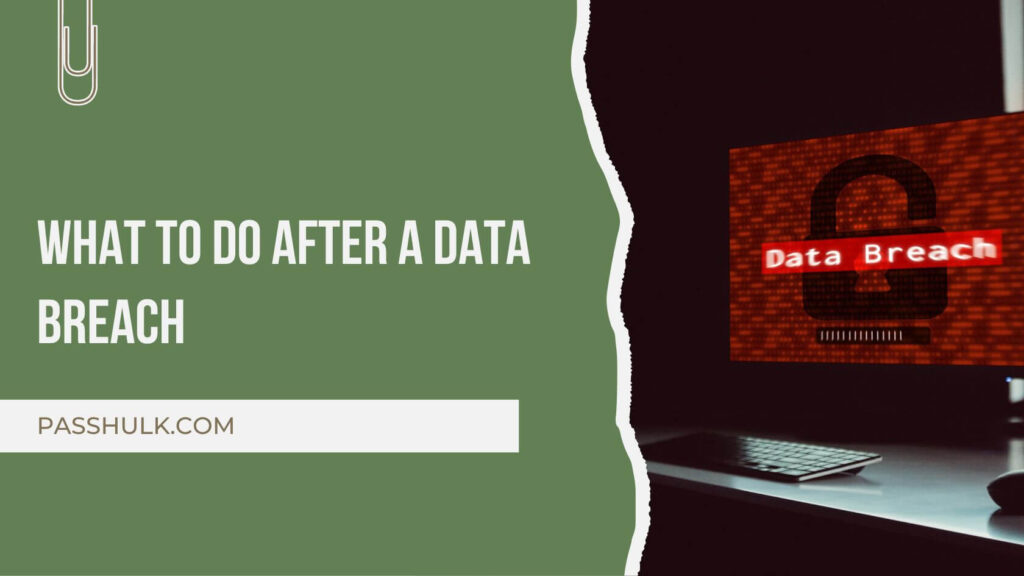 What to Do After a Data Breach: A Practical Guide
